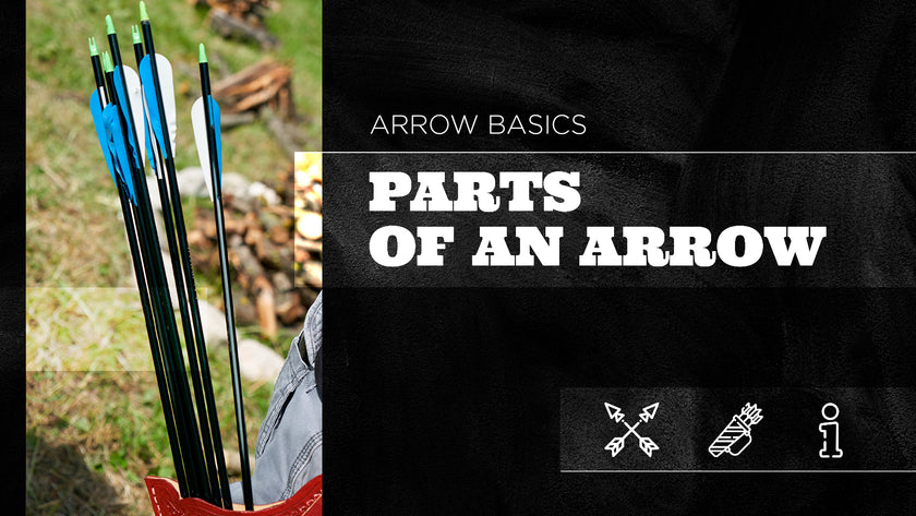 Arrow Basics: Parts of An Arrow – The Bearded Butchers