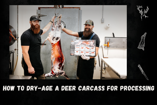 How to Dry-Age a Deer Carcass for Processing – The Bearded Butchers