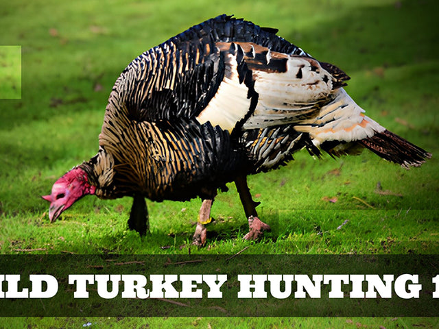 Top 5 Hunting Spots for Ohio Spring Turkey Season – The Bearded Butchers