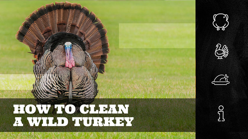 How to Clean a Wild Turkey – The Bearded Butchers