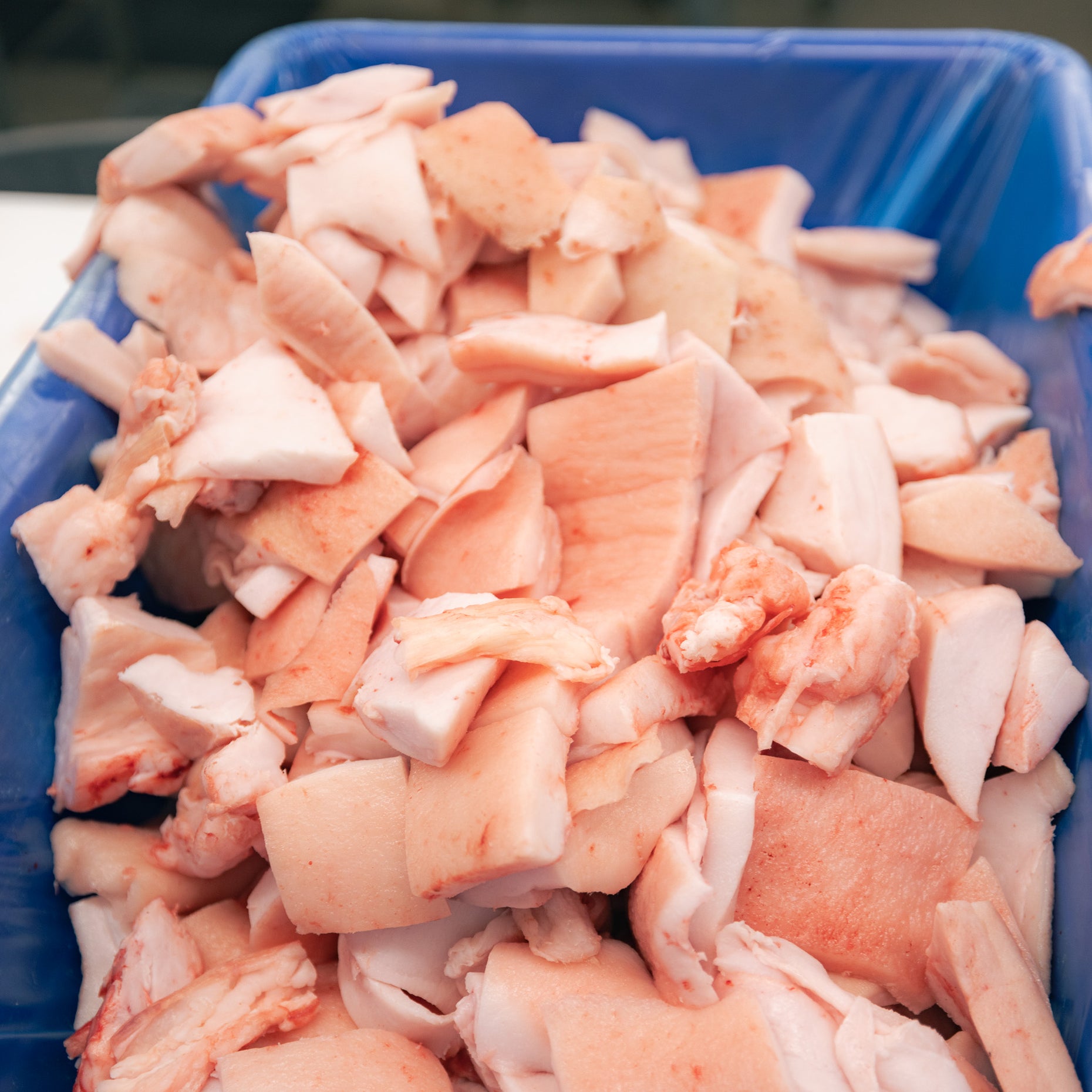 Pork Fat Trimmings 2.5# – The Bearded Butchers